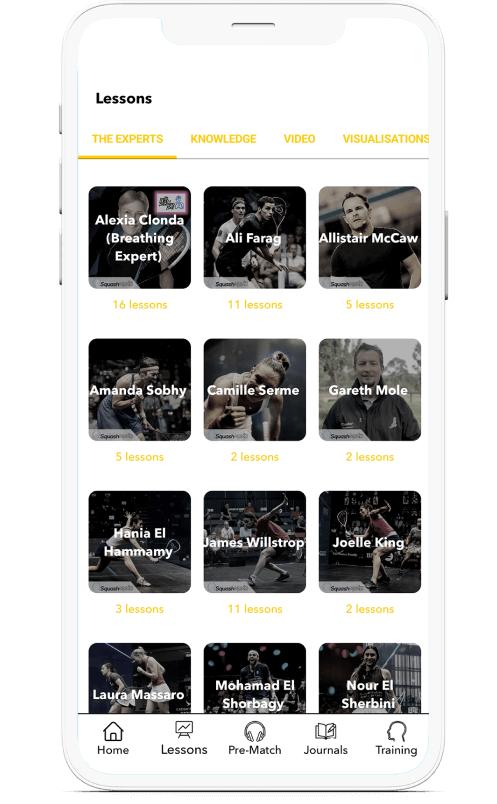 Waytoweb Website Development | Web Development Company | Squashmind